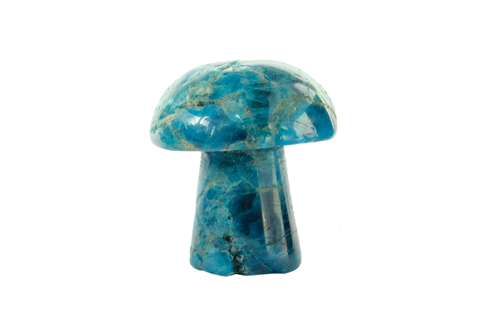 Apatite Crystal Mushroom – Aroha Love